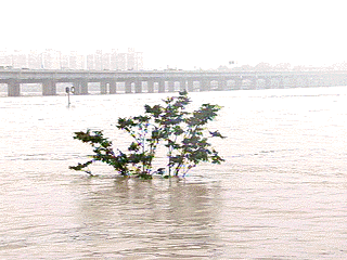 한강 유역 홍수주의보 발령