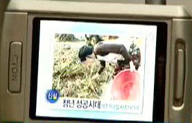 [디지털포커스]LGT,DMB폰 판매