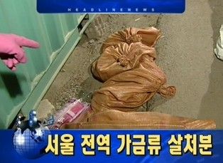 [SBS8뉴스] 2008년 05월 12일 - 오늘의 주요뉴스