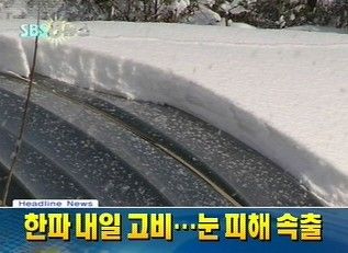 [SBS8뉴스] 2009년 12월 20일 - 오늘의 주요뉴스