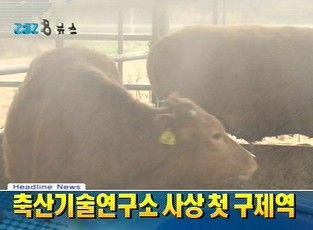 [SBS8뉴스] 2010년 05월 01일 - 오늘의 주요뉴스