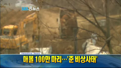 [SBS8뉴스] 2011년 01월 06일 - 오늘의 주요뉴스