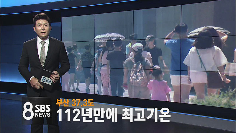 [SBS8뉴스] 2016년 08월 14일 - 오늘의 주요뉴스