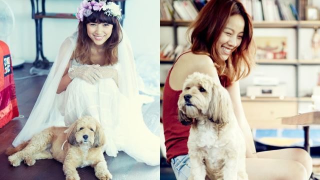 Lee Hyo-ri Bids Goodbye to Her Dog Soon-shim Whom She Rescued from an ...