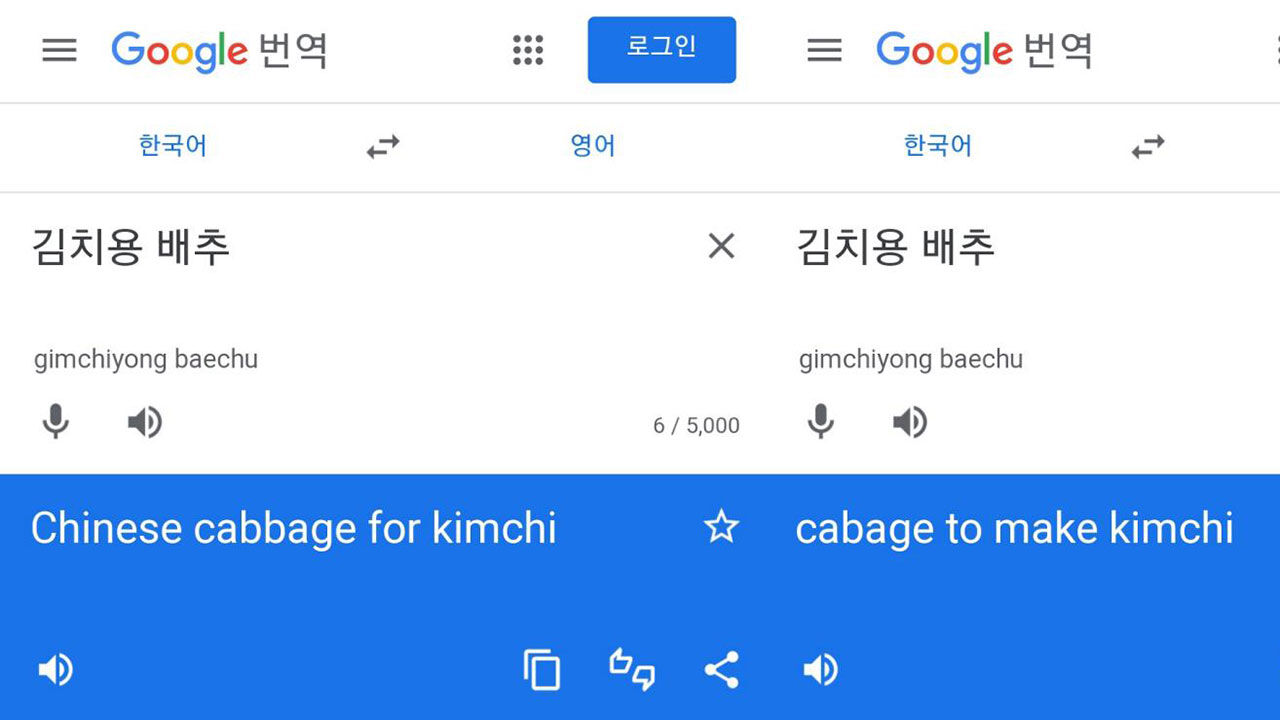 구글, '김치용 배추' 영어 번역에서 'Chinese' 뺐다