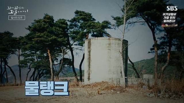 [꼬꼬무 찐리뷰] 6평 물탱크 위, 198명이 팔짱 끼고 버텼다…시루섬의 기적