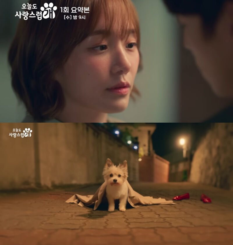 [SBS Star] Cha Eun-woo Shares What It Was Like to Film a Kissing Scene ...