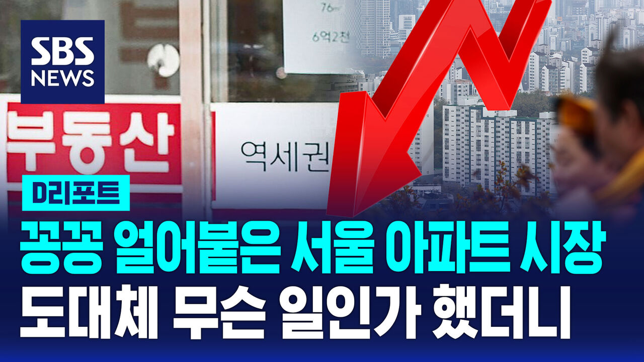 [d리포트] 서울 아파트 시장 찬바람…거래량 급감