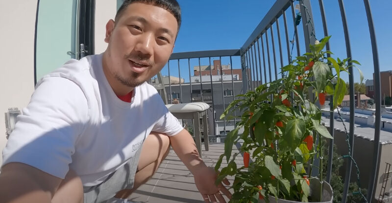 [SBS Star] "I'm a New Yorker Now!" Disbanded miss A Min Gives an Update ...