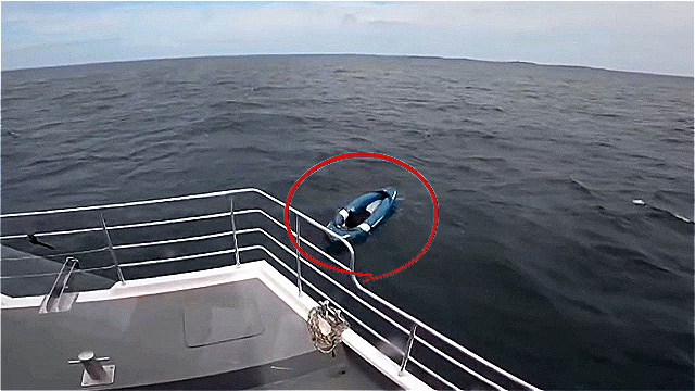 Dog Rescued After Drifting Alone on Kayak