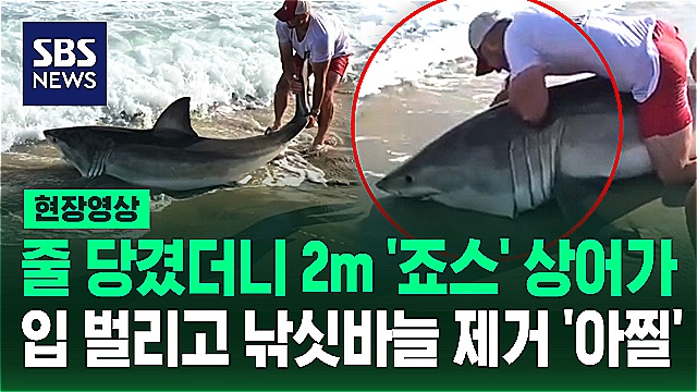 Video: American Fisherman Swiftly Releases 'Giant' Great White Shark ...