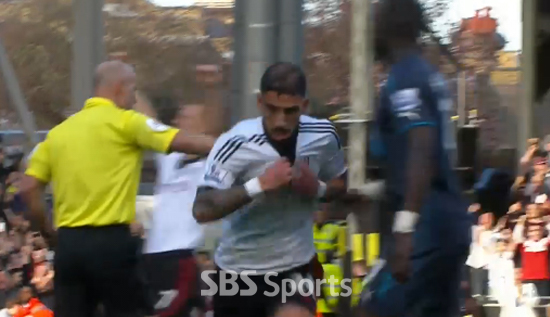 SBS 스포츠 골프 뉴스 : 전체뉴스 : [EPL 리뷰] '데자가 결승골' 풀럼, 뉴캐슬 꺾고 강등권 탈출 희망 : SBS