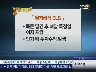 불안한 주식시장, 또 다른 대안은 '월지급식 ELS' - SBS Biz