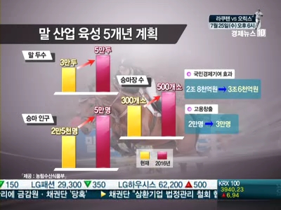 정부 "말 산업 육성"…한우농가 "FTA 피해 대안 못돼" - SBS Biz