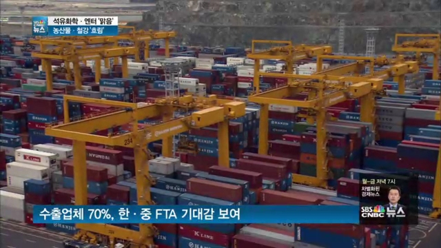 한·중 FTA 타결에 울고 웃다…'업종별 기상도' 보기 - SBS Biz