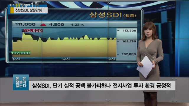 [특징주] 삼성SDI, 전기차 배터리 성장성 부각에 '쑥' - SBS Biz