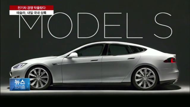 '국내 상륙' 테슬라, 4.4초만에 시속 100km…'스포츠카 뺨치네' - SBS Biz