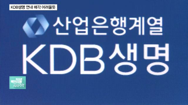 대우조선보다 더 '속앓이'?…산업은행, KDB생명 어쩌나 - SBS Biz